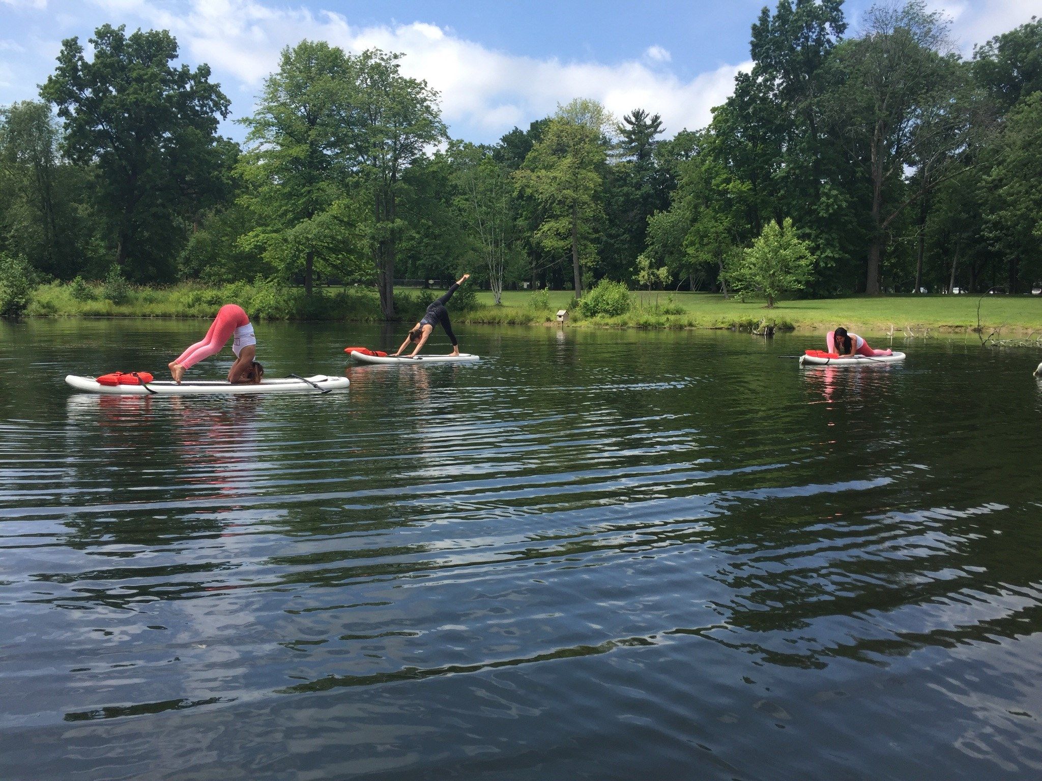 Mercer County studio offers unique yoga classes - WFMJ.com