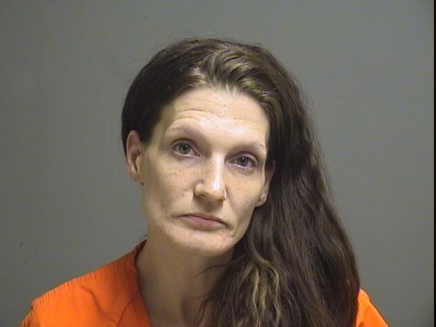 Mom arrested after police find child wandering near busy Youngstown ...