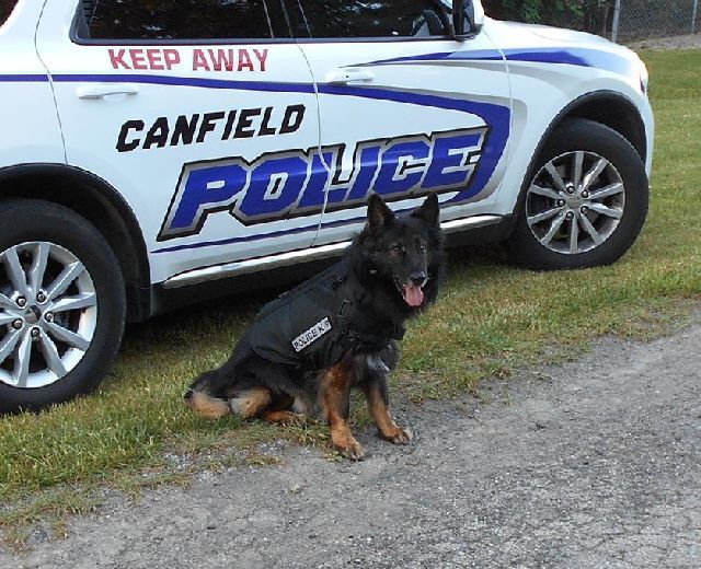 Canfield cop and K9 recognized for saving runaway child - WFMJ.com