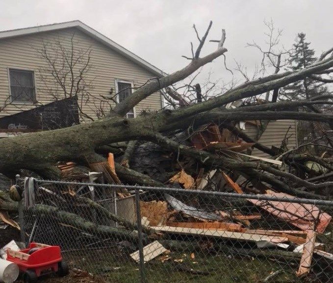 Tree crushes part of Champion home - WFMJ.com
