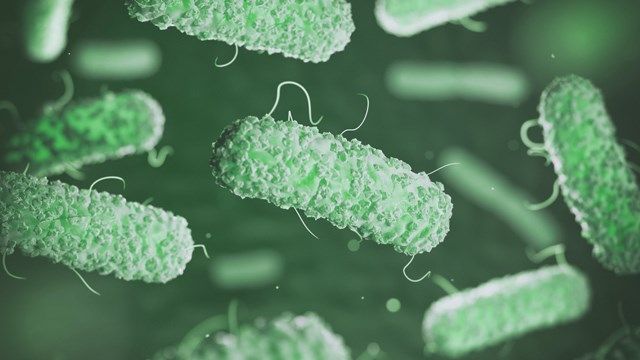 West Branch Lake 'bacteria contamination advisory' lifted - WFMJ.com