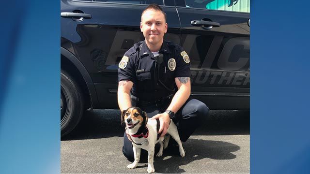Dog abandoned in vacant home gets second chance with Struthers Police ...