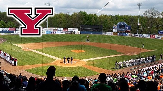 YSU Baseball: Announces 2021 schedule - WFMJ.com