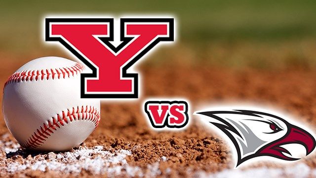 YSU baseball scores final seven runs to beat N.C. Central 8-7 - WFMJ.com