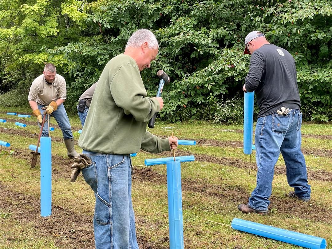 FirstEnergy, Penn Power donate and plant over 100 trees in Buhl Park ...