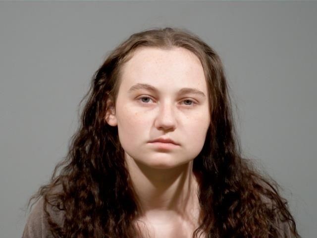 Niles woman accused of pandering obscenity involving minors - WFMJ.com