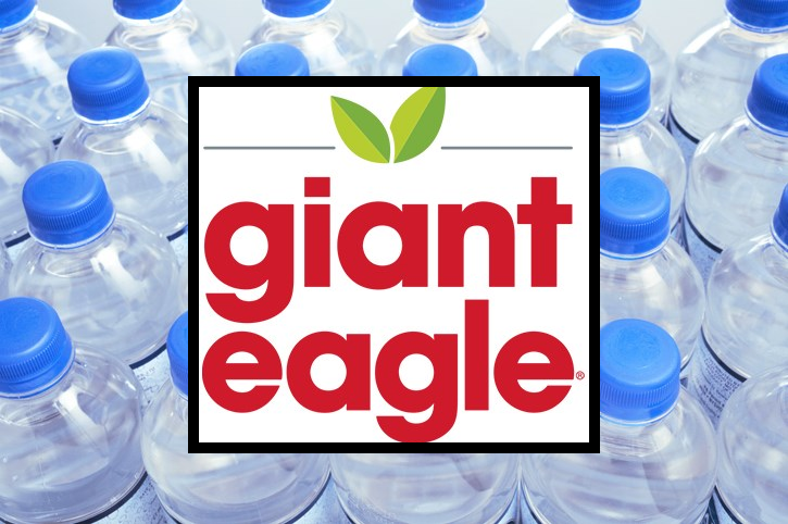 Giant Eagle Logo