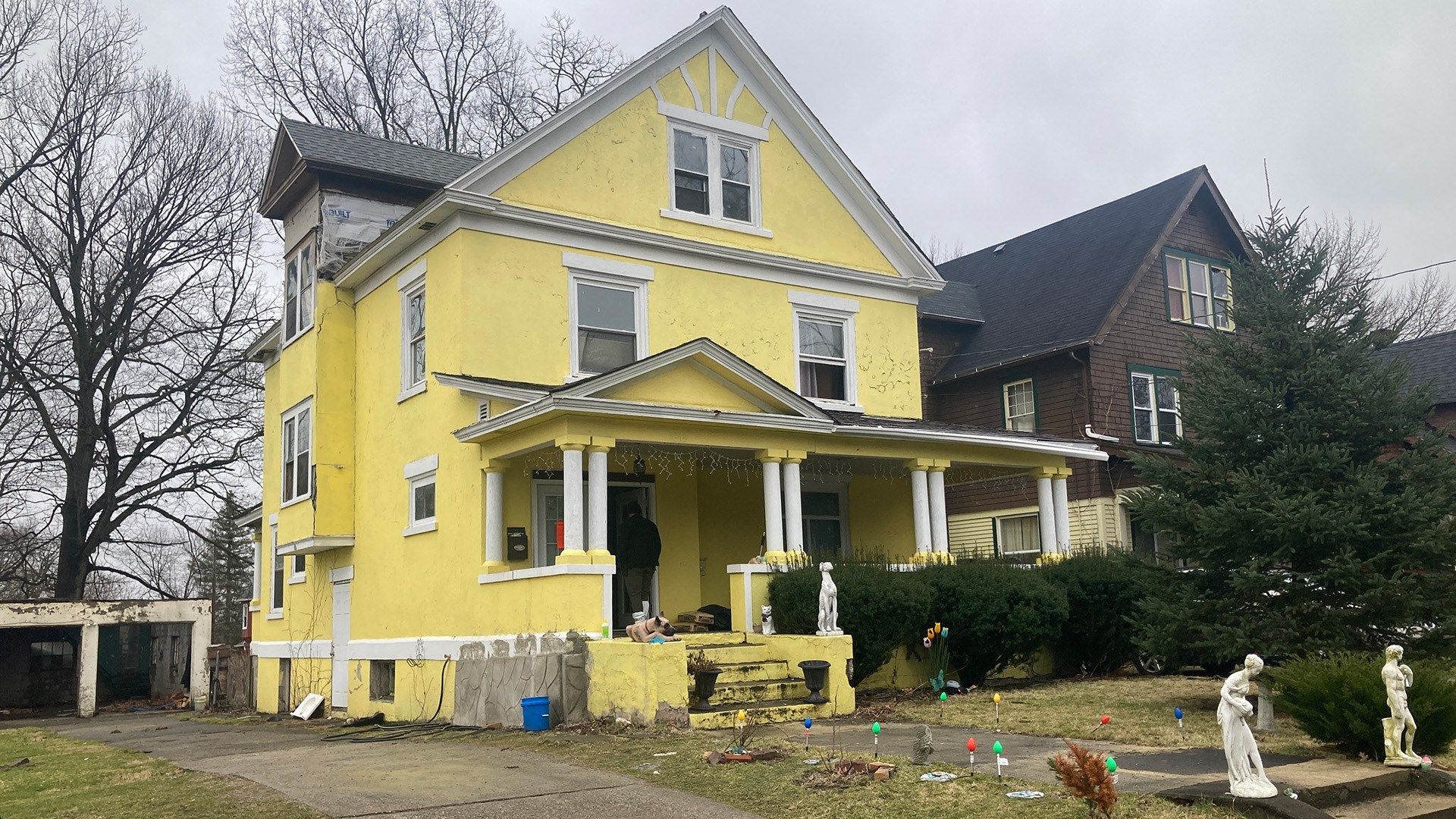 Dozens of wild animals, including foxes, turkeys and snakes foun - WFMJ ...