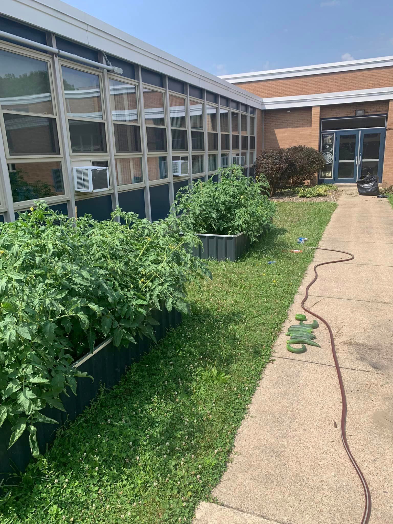 JFK Catholic student initiative receives $1,000 for garden improvements ...