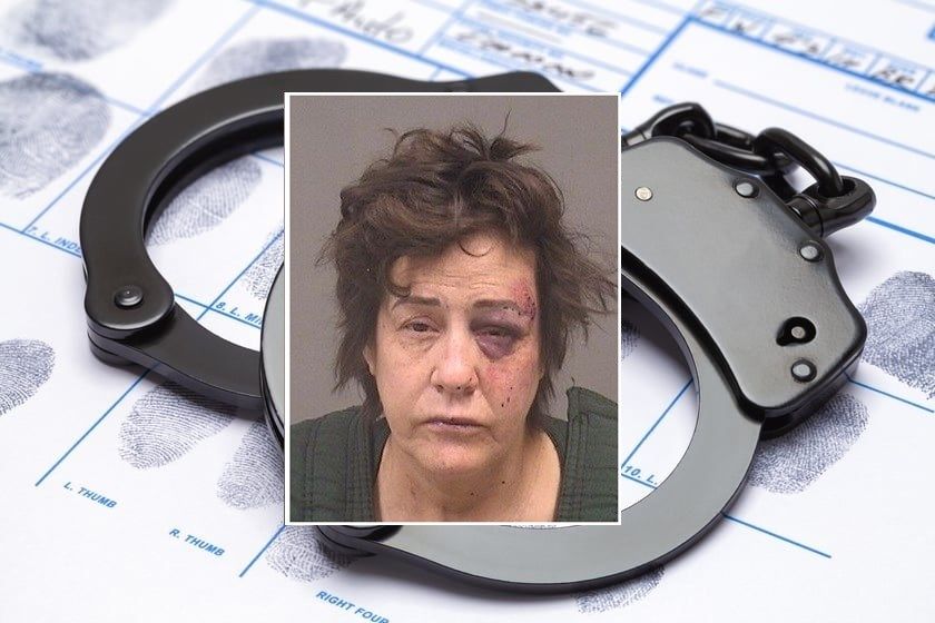 Woman arrested for allegedly stealing a dog, resisting arrest on ...