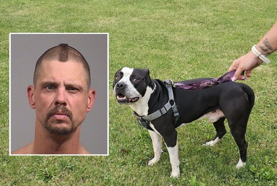 Judge issues warrant for Warren man facing animal cruelty, other ...