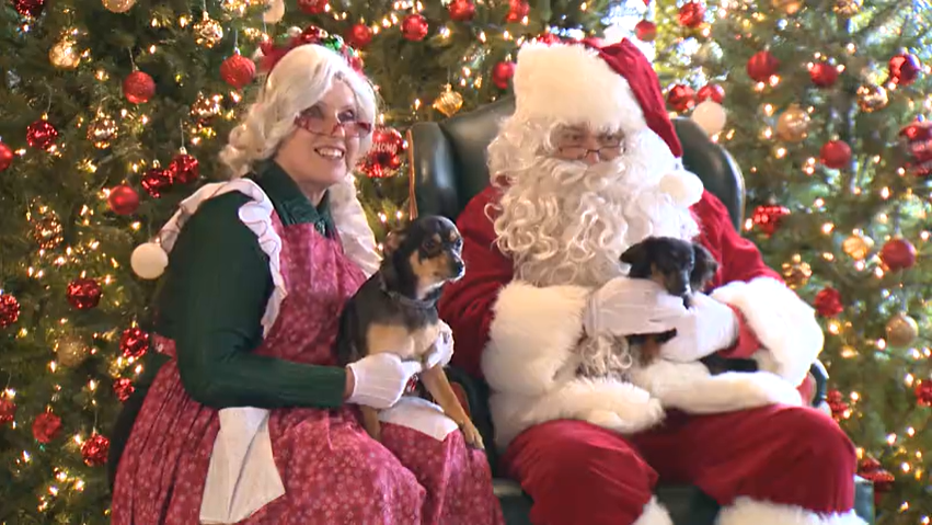 Columbiana County Humane Society hosts 'Santa Paws' event at Firestone ...
