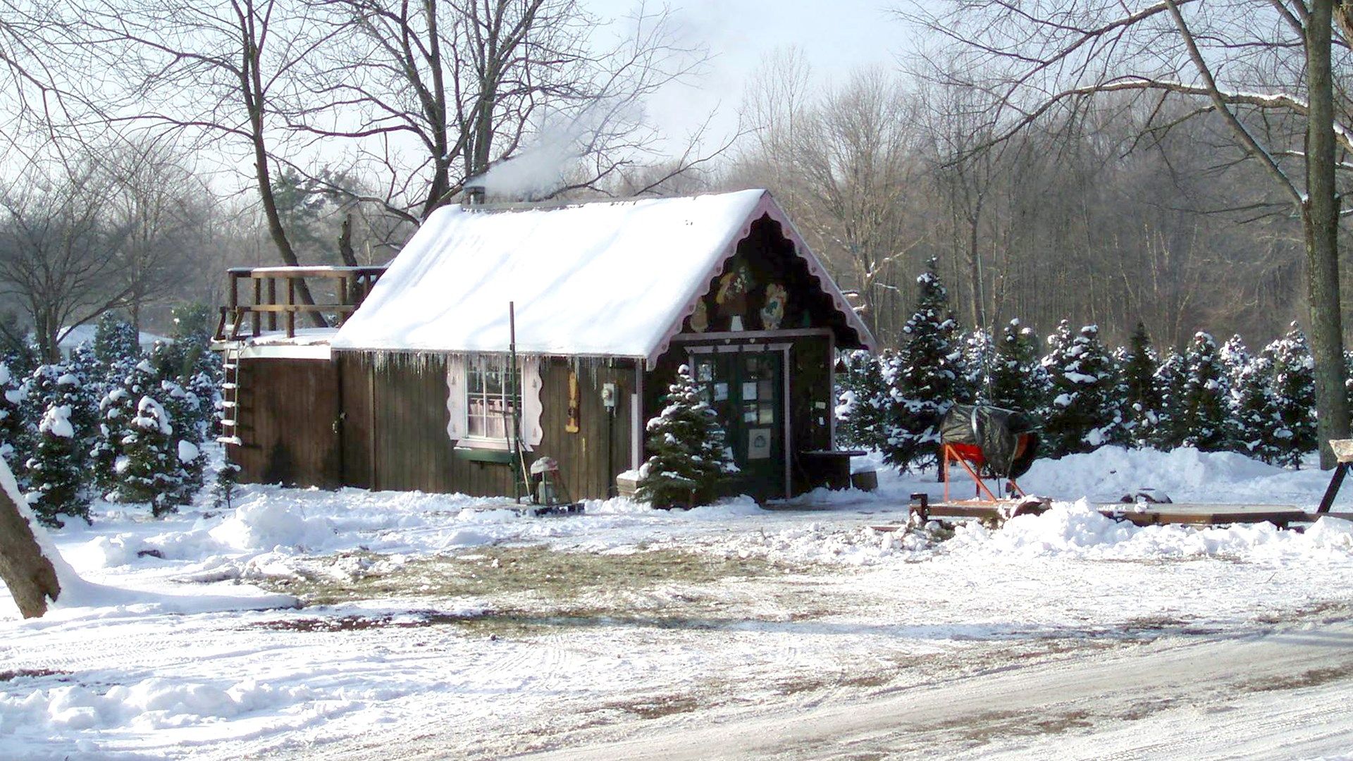 Hubbard shop offering free Christmas trees on Tuesday - WFMJ.com