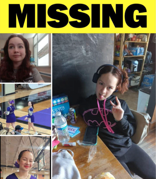 Sebring Police looking for missing teen last seen on Sunday - WFMJ.com