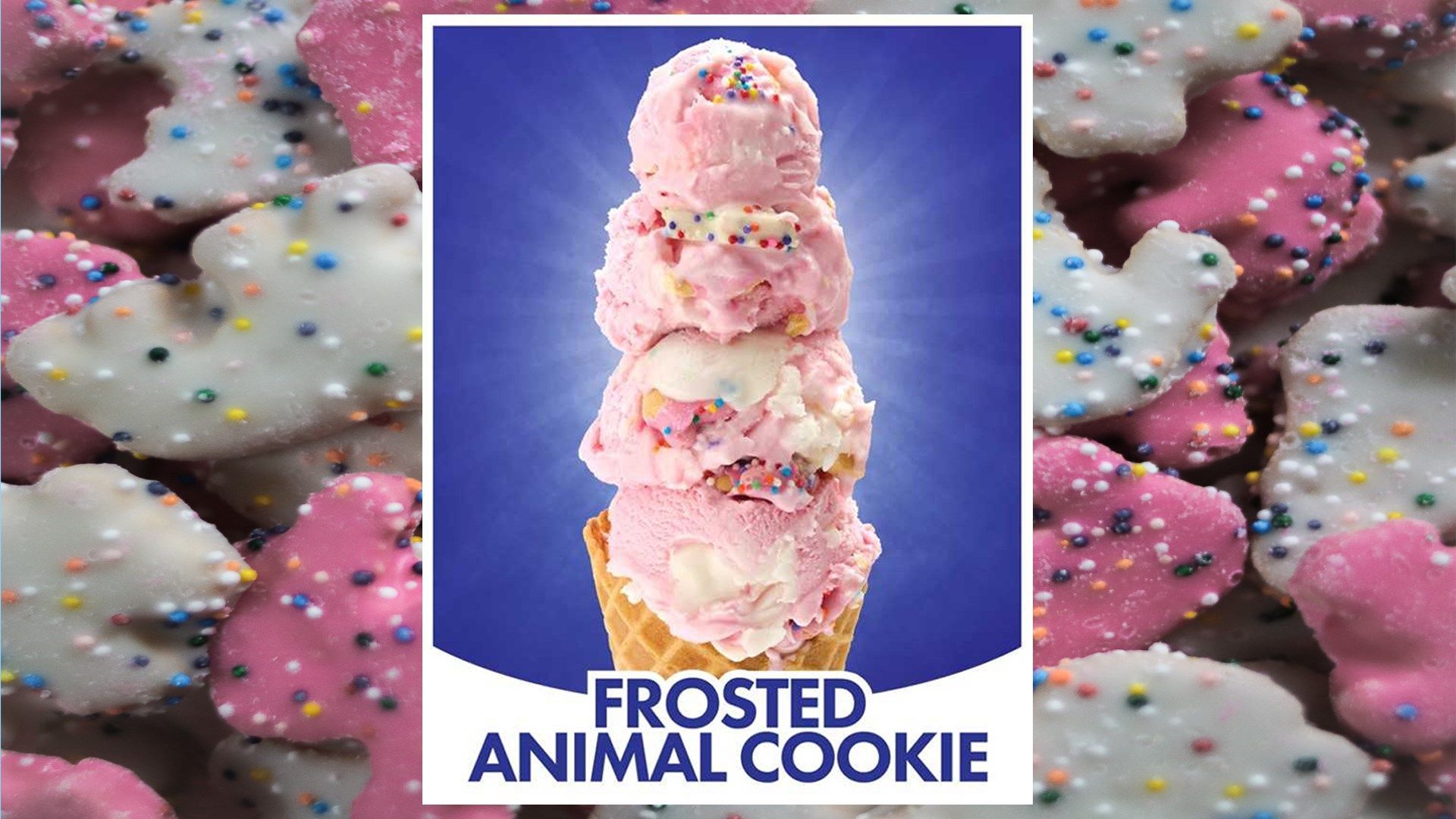 Handel's announces new Frosted Animal Cookie flavor - WFMJ.com