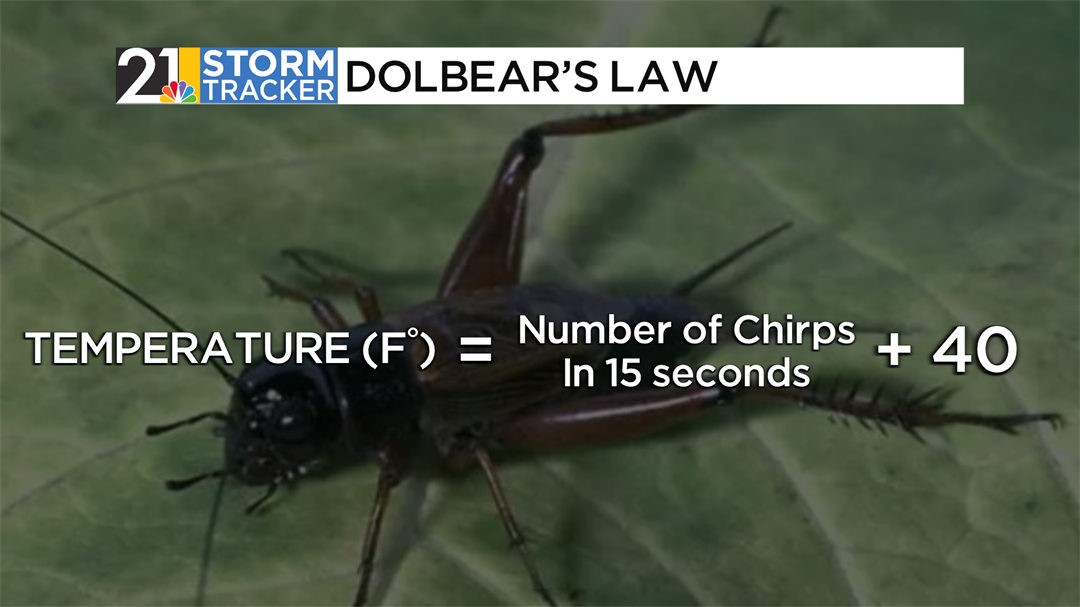 Weather 101: Can crickets act as a thermometer? - WFMJ.com