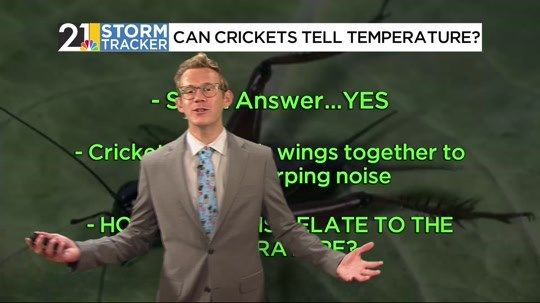 Weather 101: Can crickets act as a thermometer? - WFMJ.com