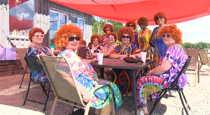 Fans celebrate beloved 'Three's Company' character with 'Mrs. Roper ...