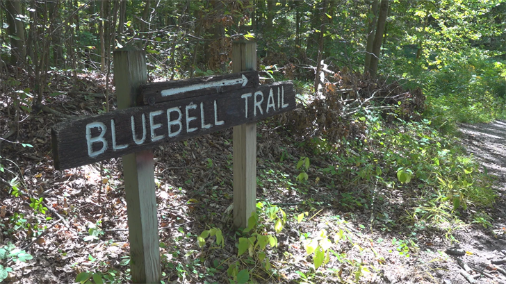 Repair plans for Bluebell Trail in Poland raise concerns - WFMJ.com
