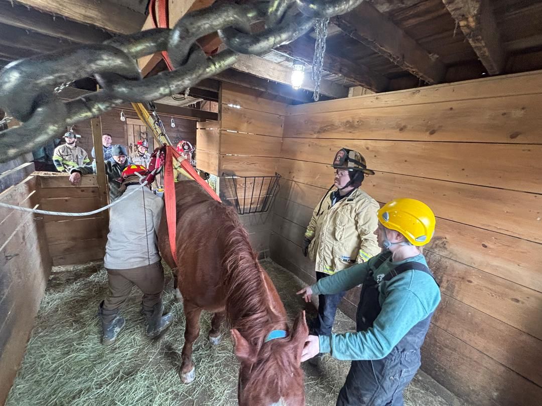 SLIDESHOW: Mercer County firefighters rescue horse pinned in barn stall ...