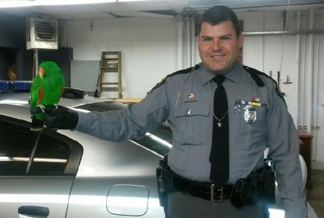 Canfield Trooper reunites pet parrot with owner - WFMJ.com