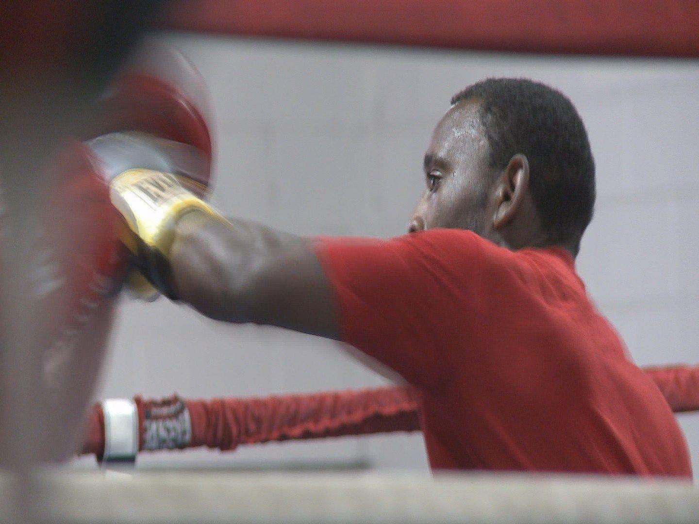 Warren boxer back in the ring after throwing deadly punch - WFMJ.com